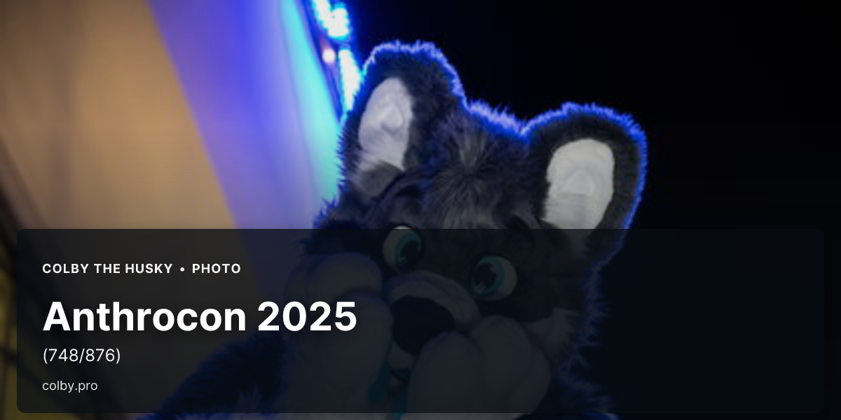 Image 748 of 876 — Anthrocon 2025 — Colby the Husky