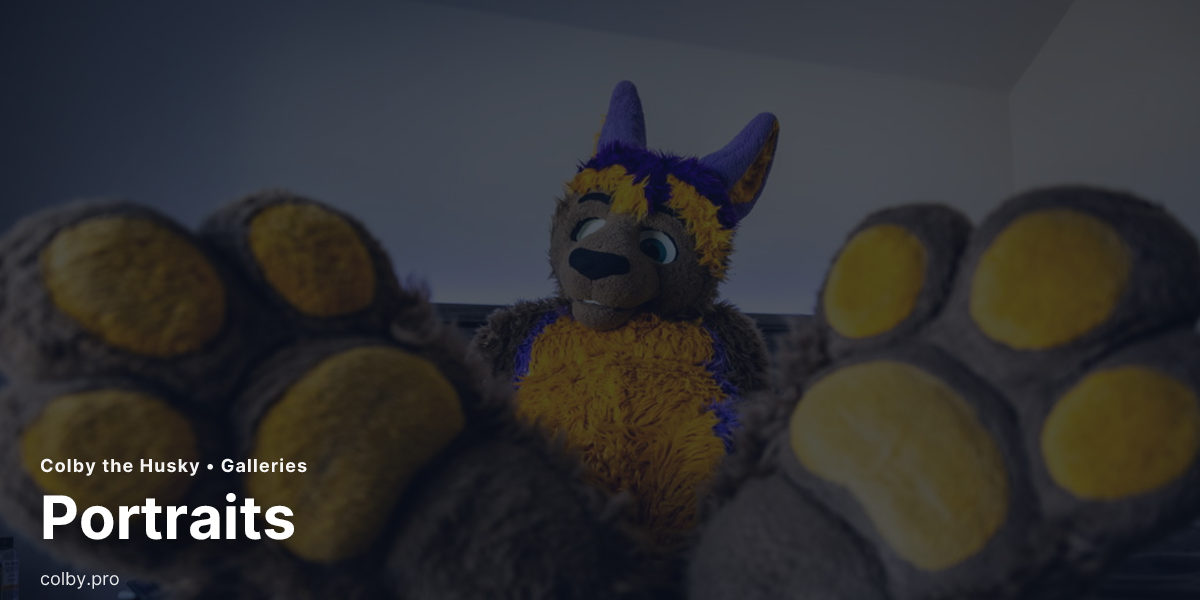 Portraits — Galleries — Colby the Husky